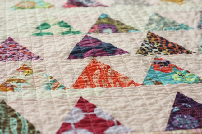 Field Study Triangles