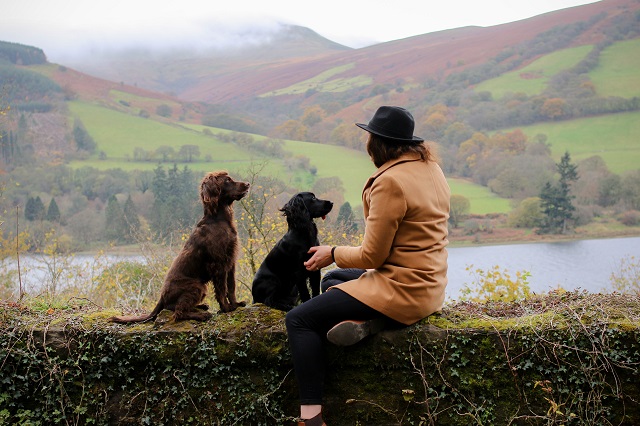 5 Fun Adventures to Have with your Dog | Steph & The Spaniels: Dog ...