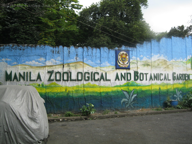 My First Visit to Manila Zoo |Filipino Sojourner