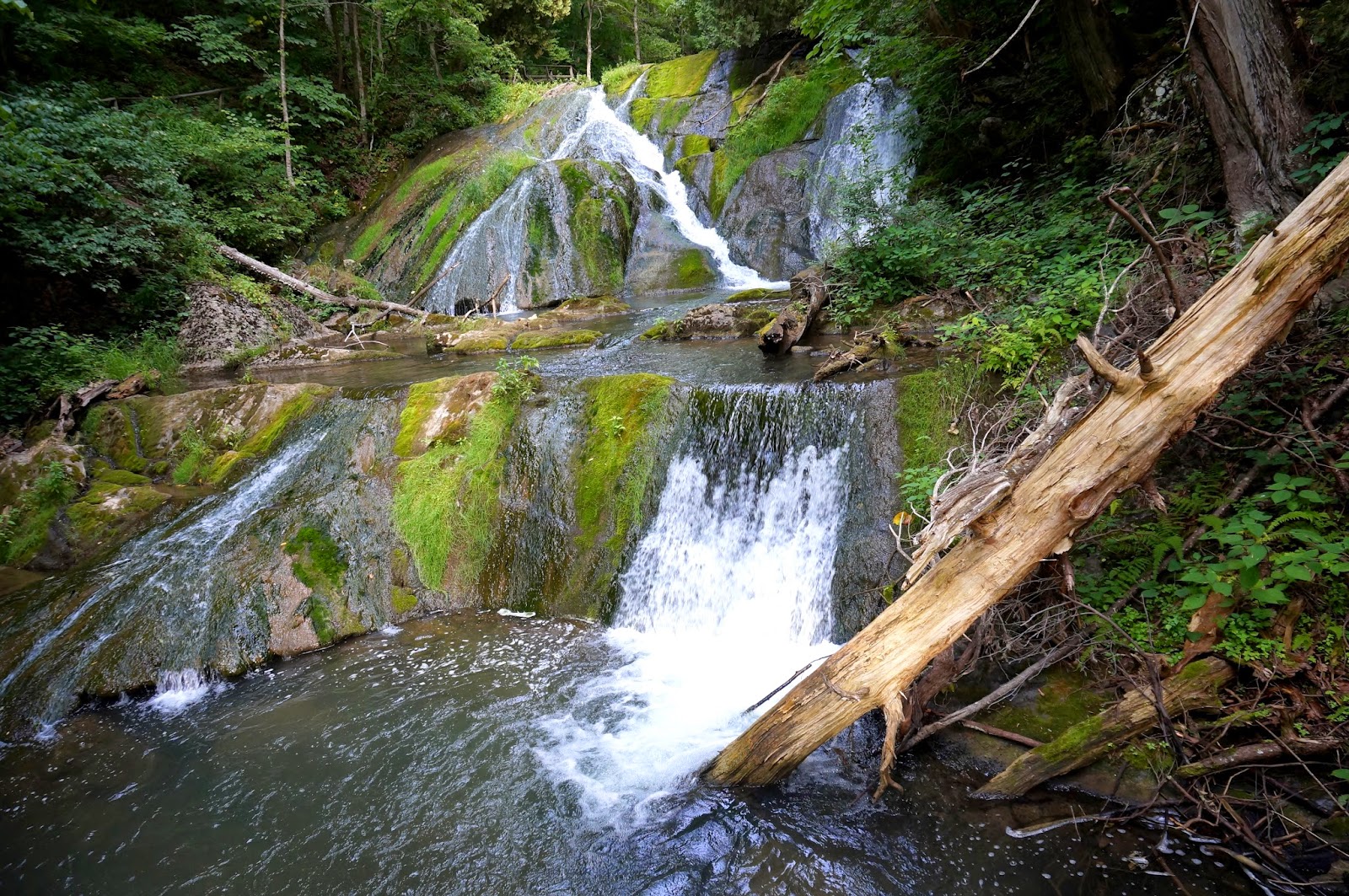 The Curious Lark: Garth Newel :: Waterfall Wanderings