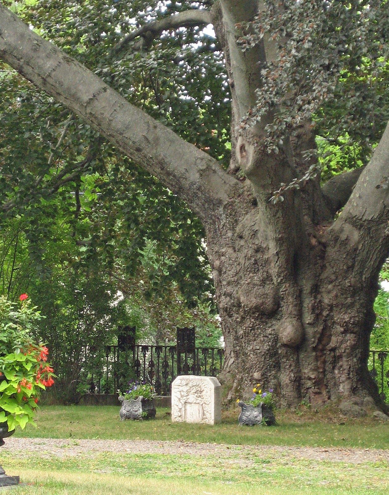 La Lair On Wheels: Downeast Maine