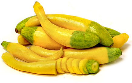 Two Men and a Little Farm: June 2011