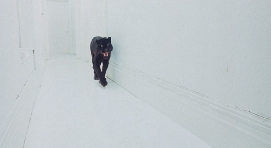 The Bloody Pit of Horror: Xtro (1982)