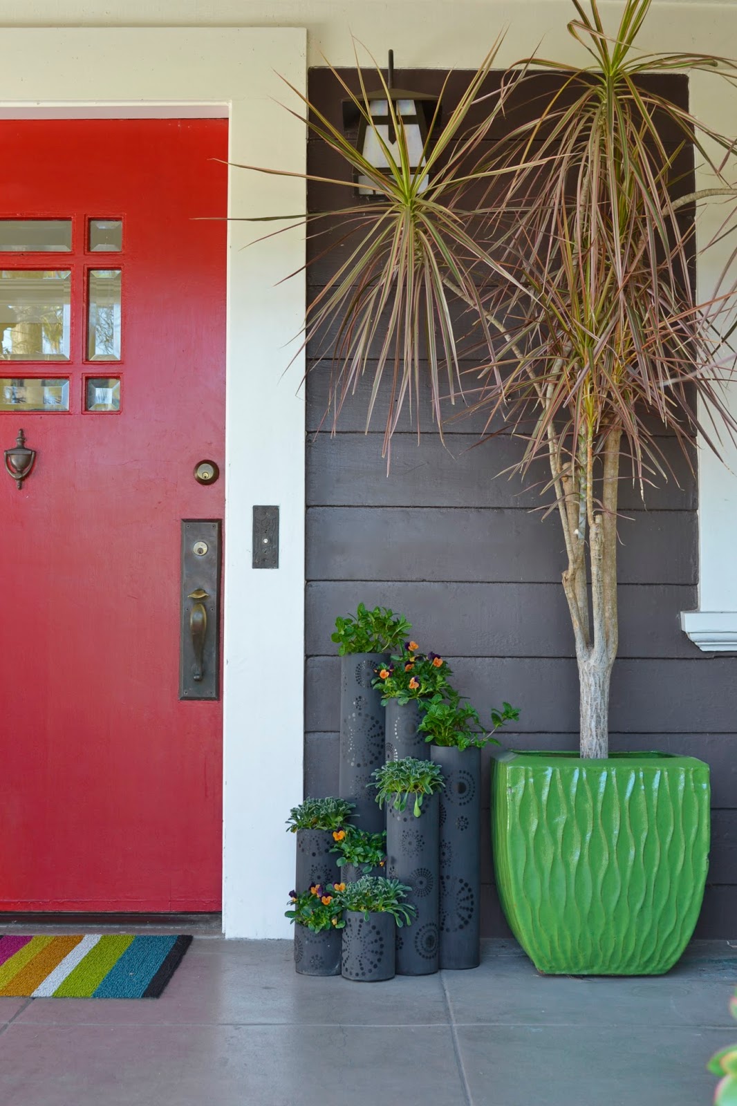 danger garden: Potted, the book (a review and a give-away)