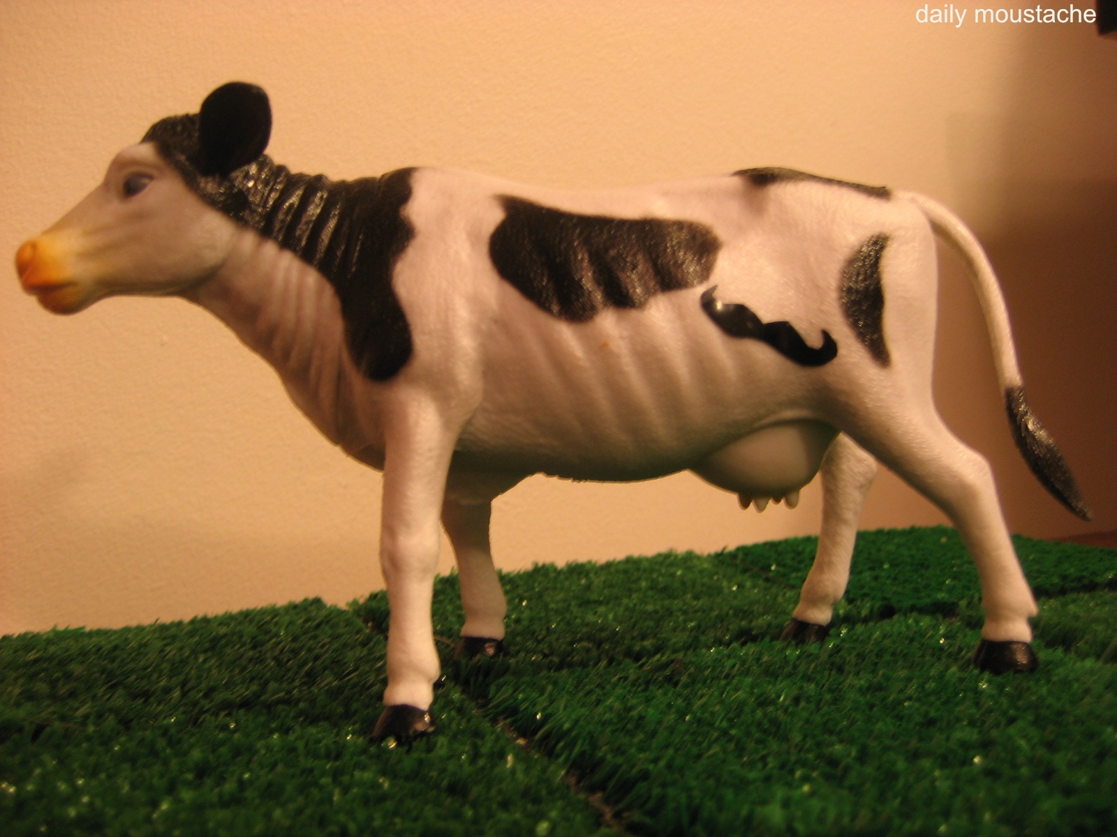 dailymoustache: February 2012