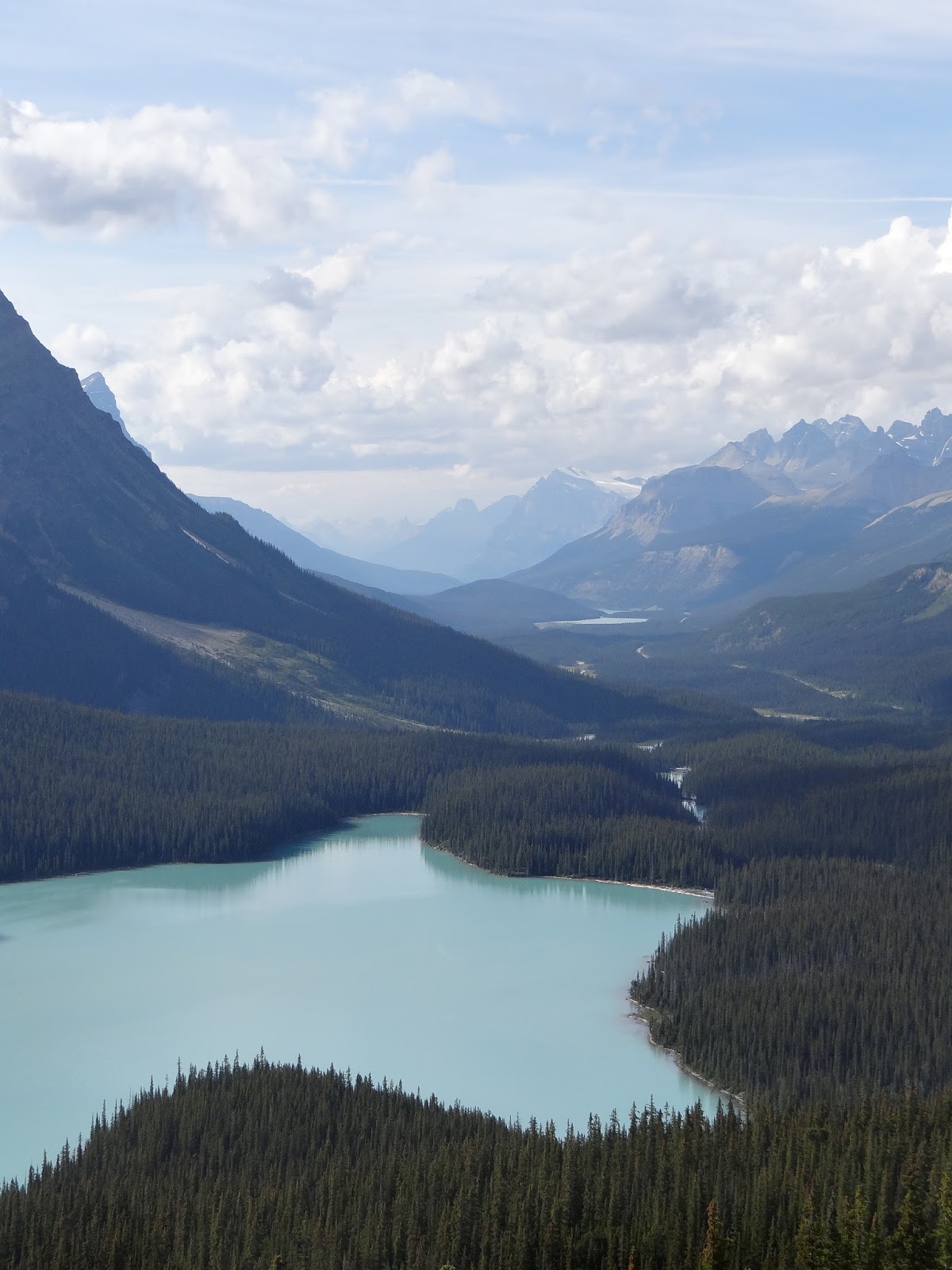 Cuchette au Canada: Lac Bow / 8 Août