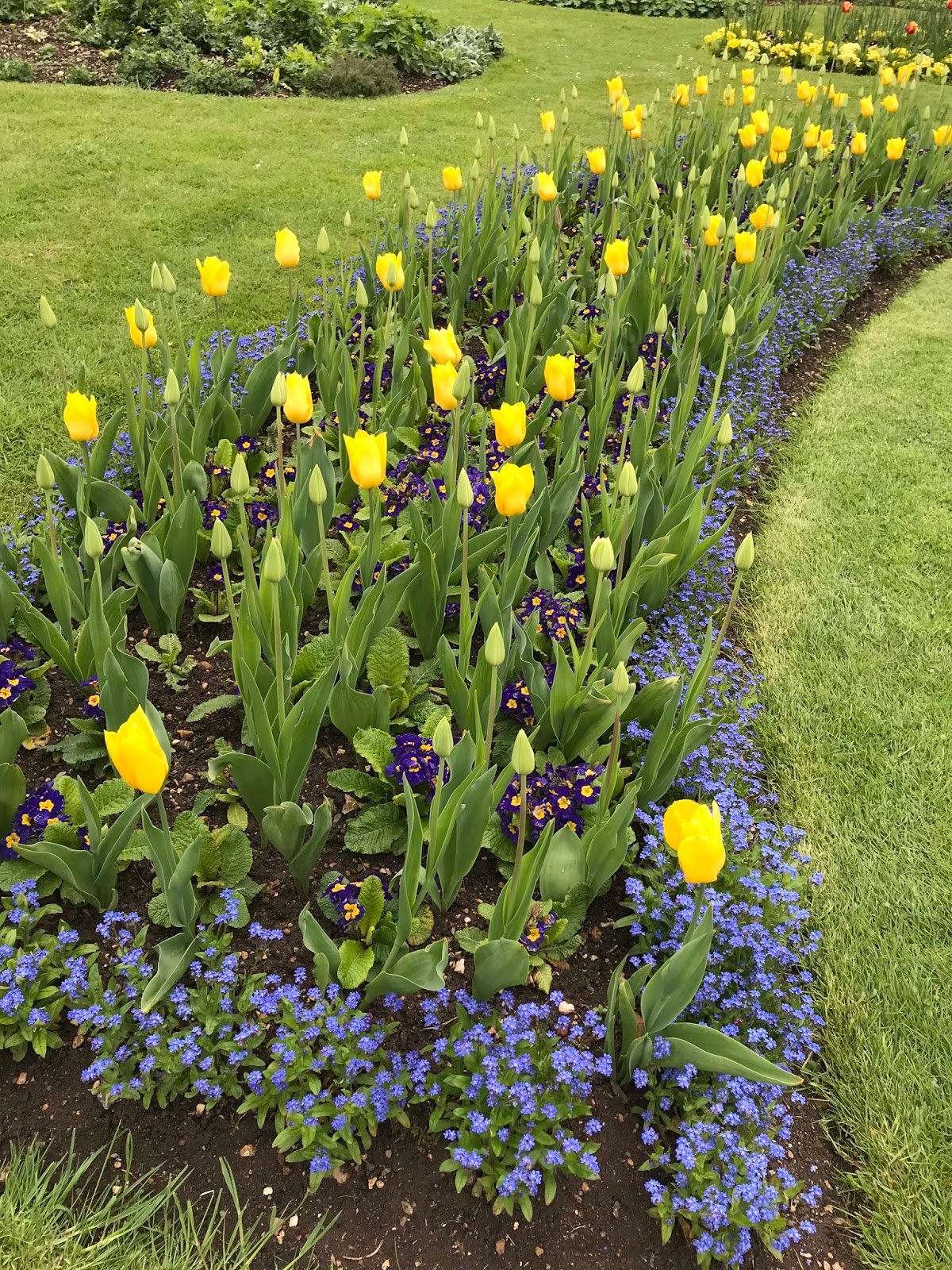 Springtime in England - flowers, flowers, flowers - Samelia's Mum