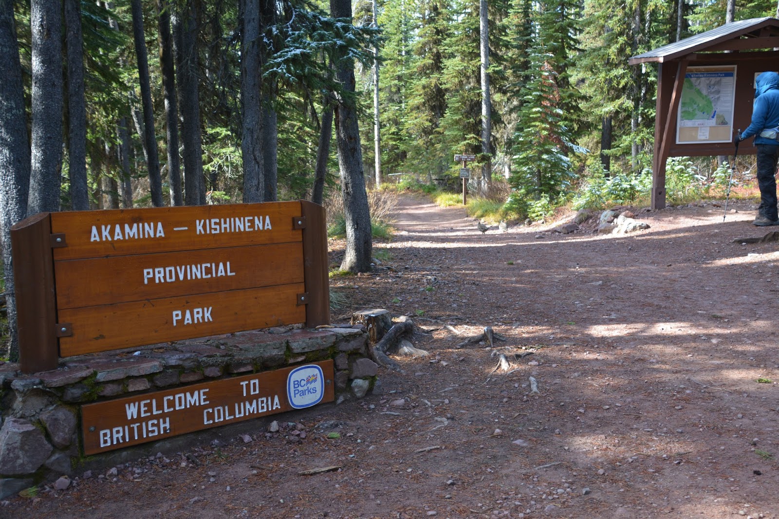 venturing4th: Akamina Pass and Wall Lake