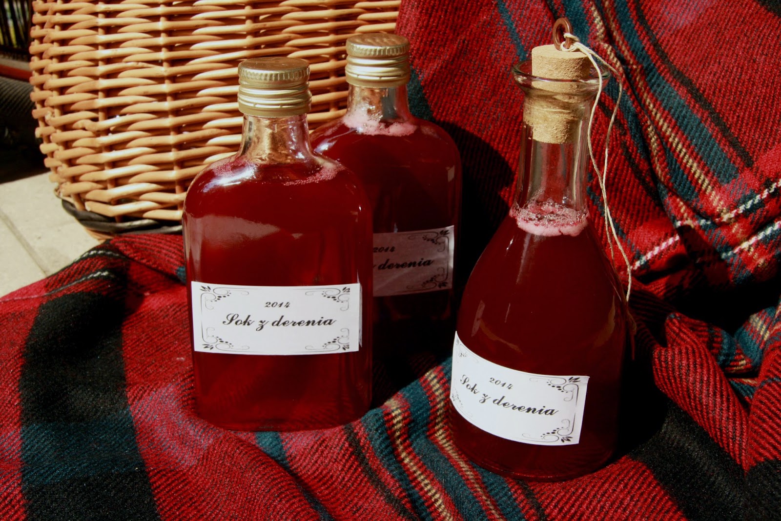 Teraz Bio - zdrowy styl życia: Sok z derenia jadalnego