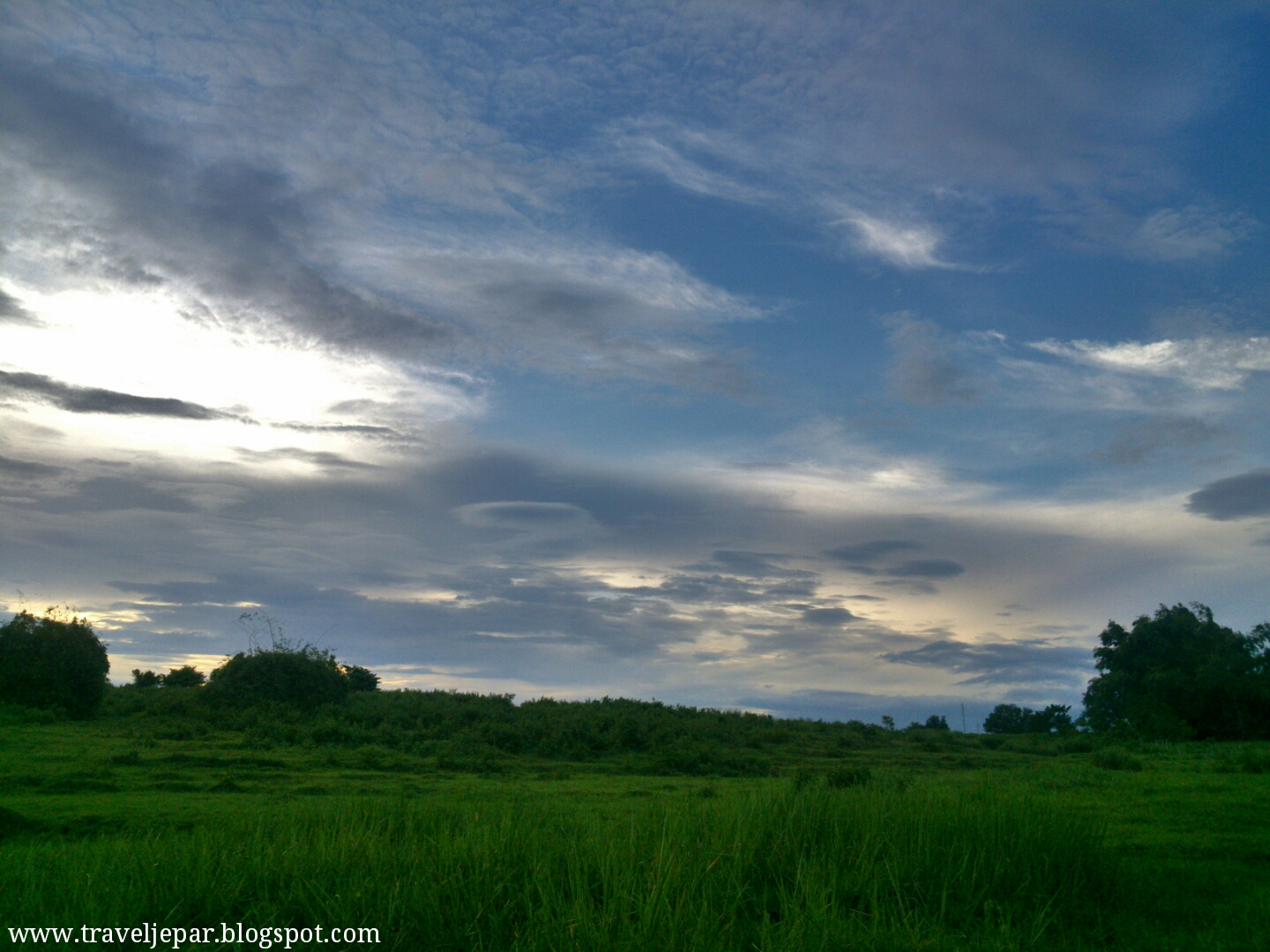 Bignay Farmland | Valenzuela City