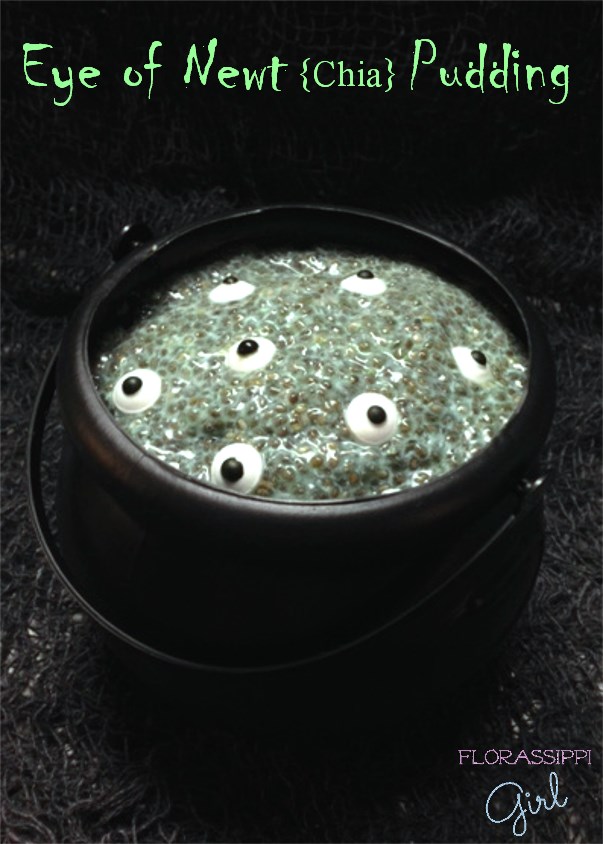 Florassippi Girl: Eye of Newt {Chia} Pudding