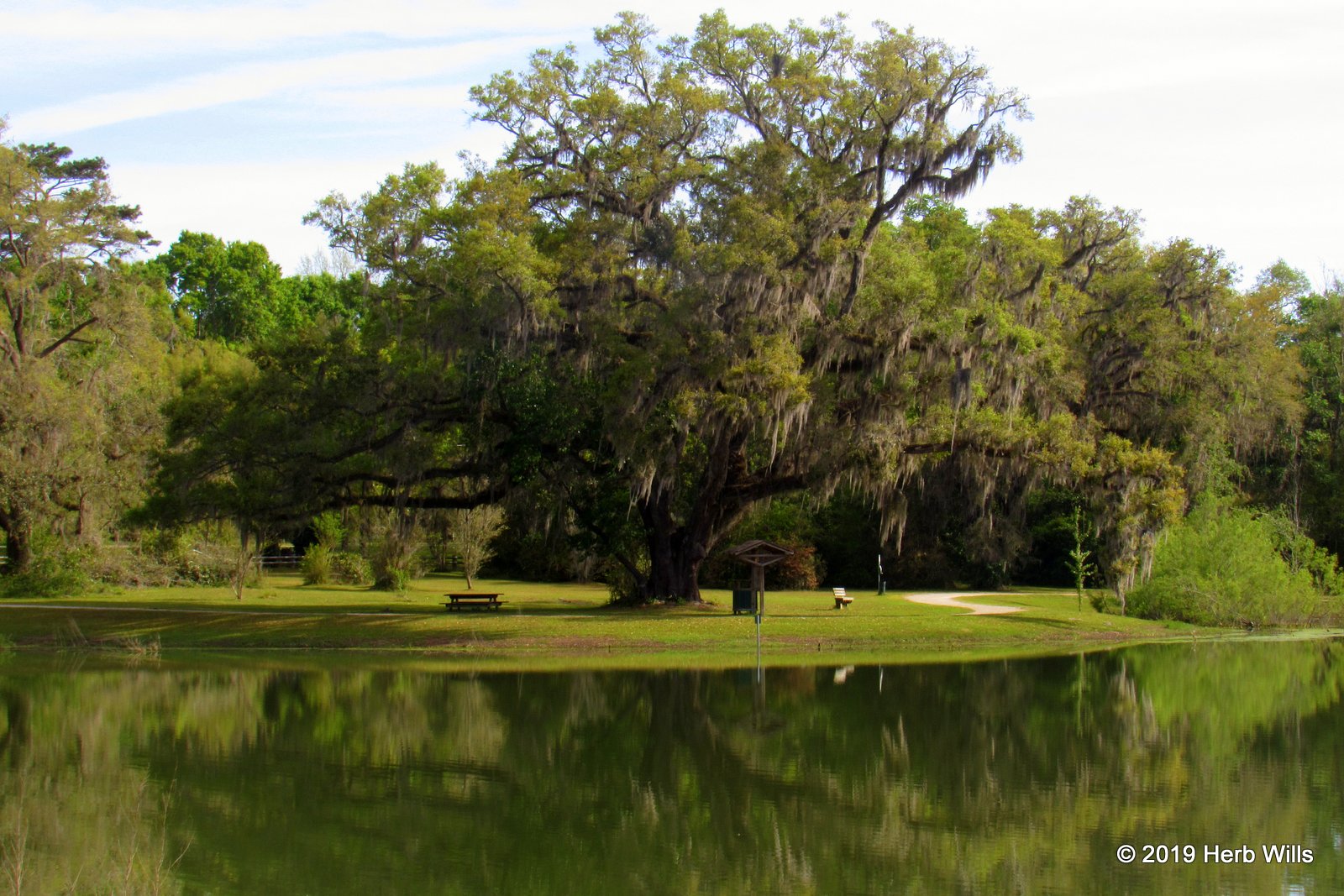 Trouble Afoot!: Pedrick Pond Park Trail