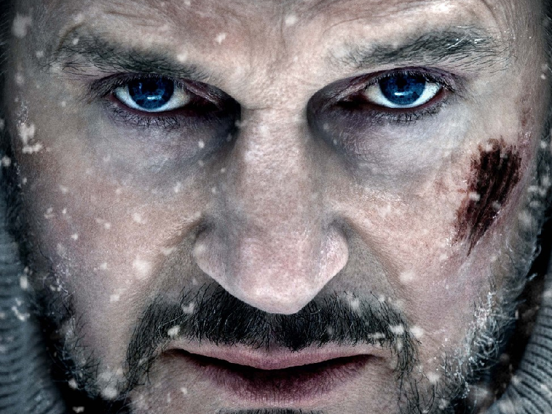 El Ático: The Grey - El gris (película, 2012).