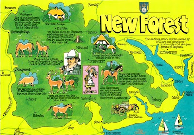 I ♥ snail mail: Postcard #16: The New Forest Map—UK