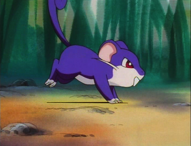 Poké-Arquivo: 019 - (Kantonian) Rattata ~ PMD || Acervo de Imagens de ...