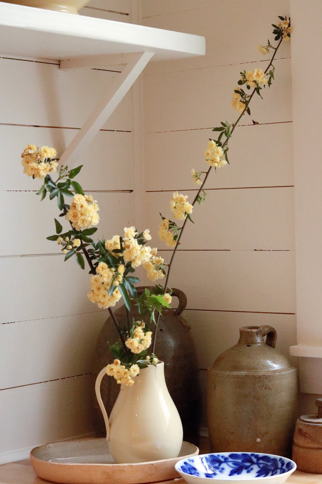 A Cook and Her Books: How to Bake Biscuits with Chef Scott Peacock