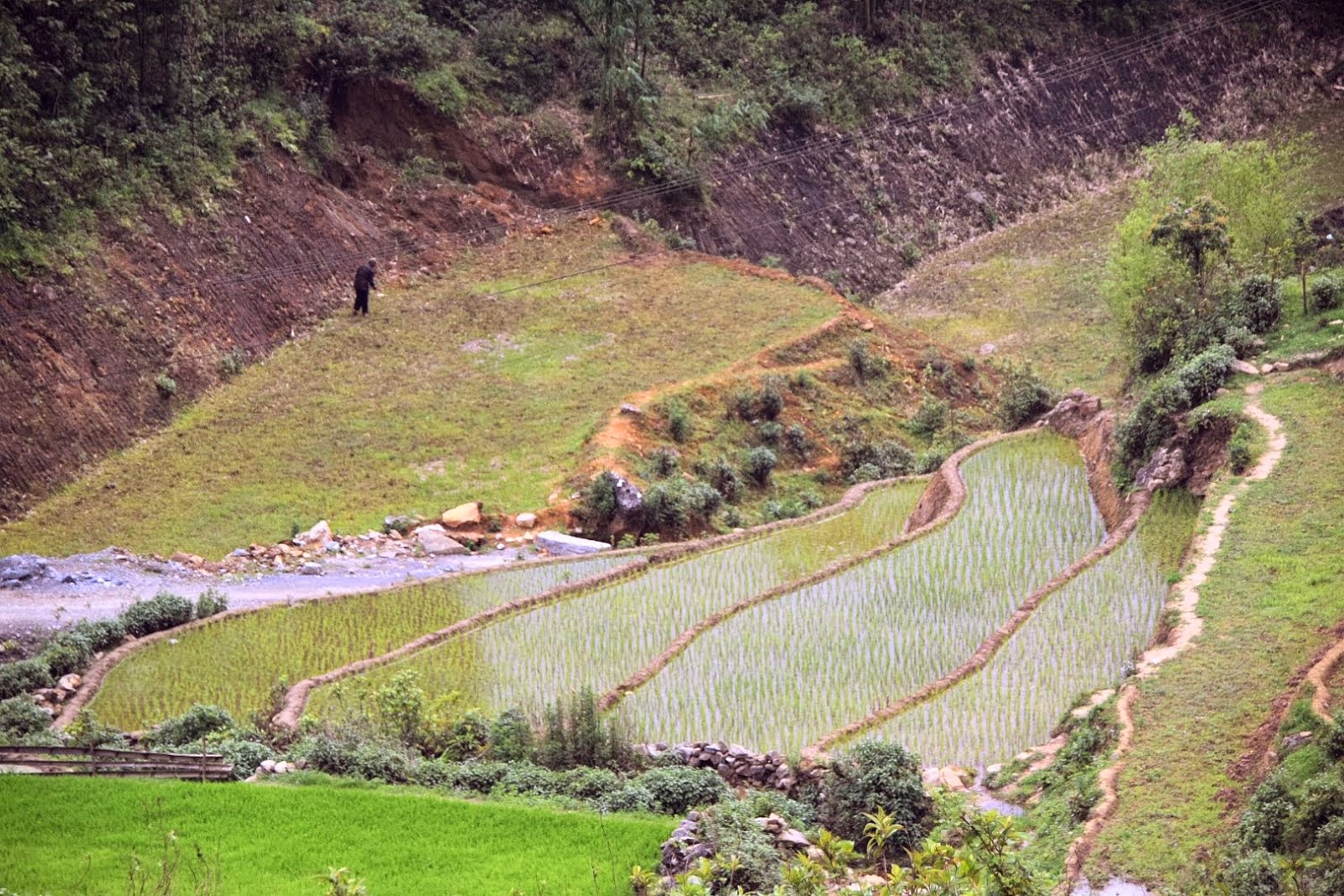 Fork It, Let's Travel!: Sapa Rice Terraces