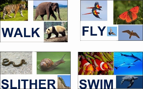 BLOG DE 1º : SCIENCE