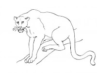 Desene, planse de colorat pantere