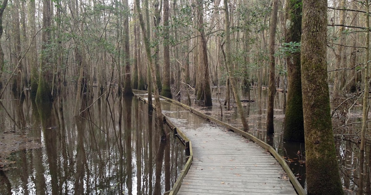 Congaree National Park