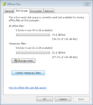 Internet Explorer Support: Delete Temporary Offline Files