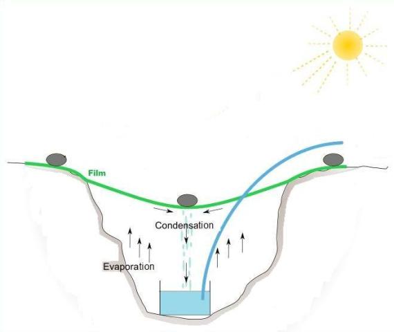 Survival & Outdoor Tips: How To Build A Solar Still
