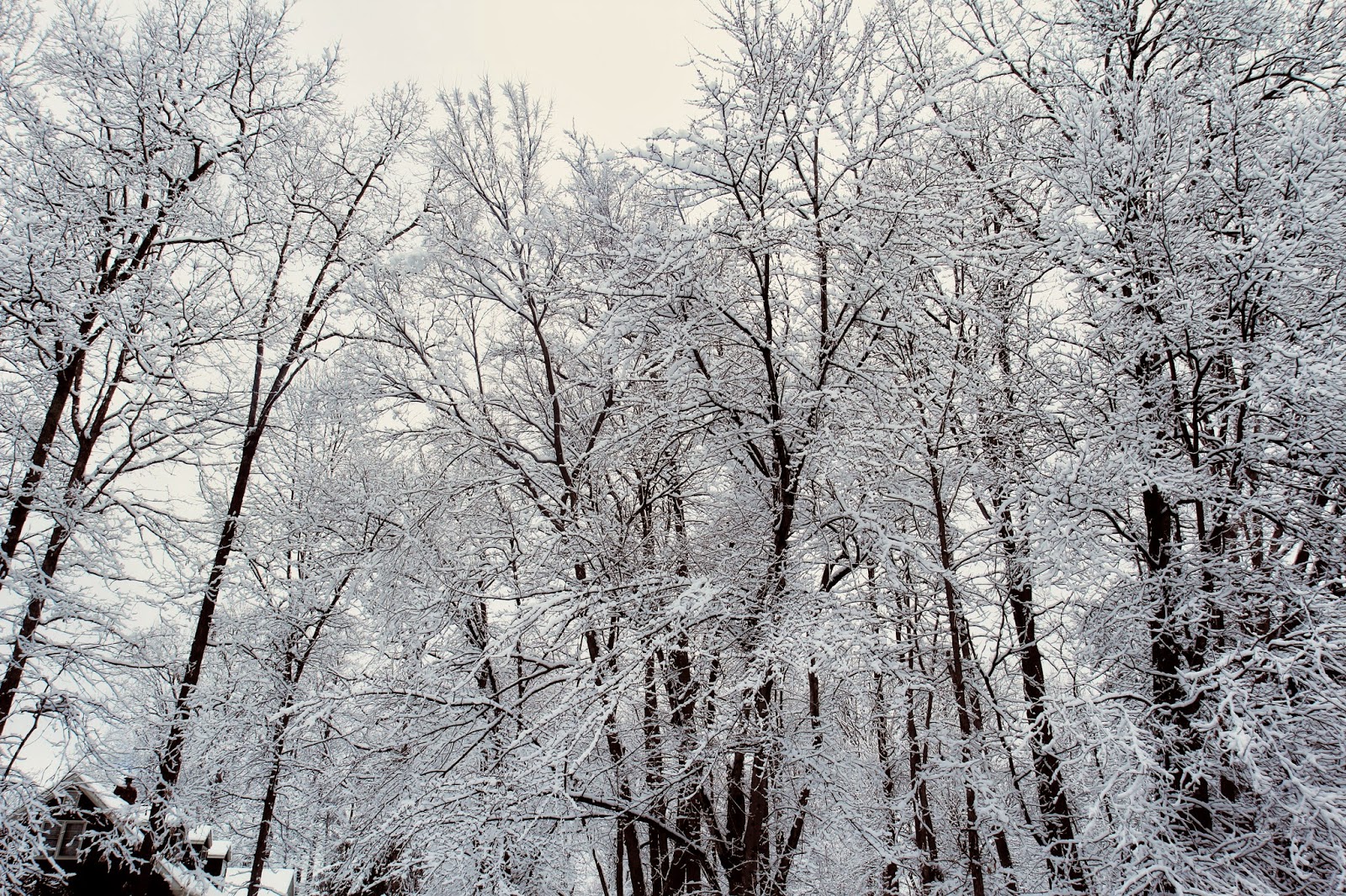 This Perfect Mess: 10 Things About February that Don't Make Me Want to Cry