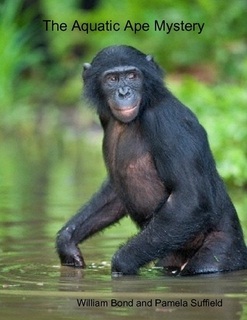 Mermaids Are Real: Video: Aquatic Ape Theory