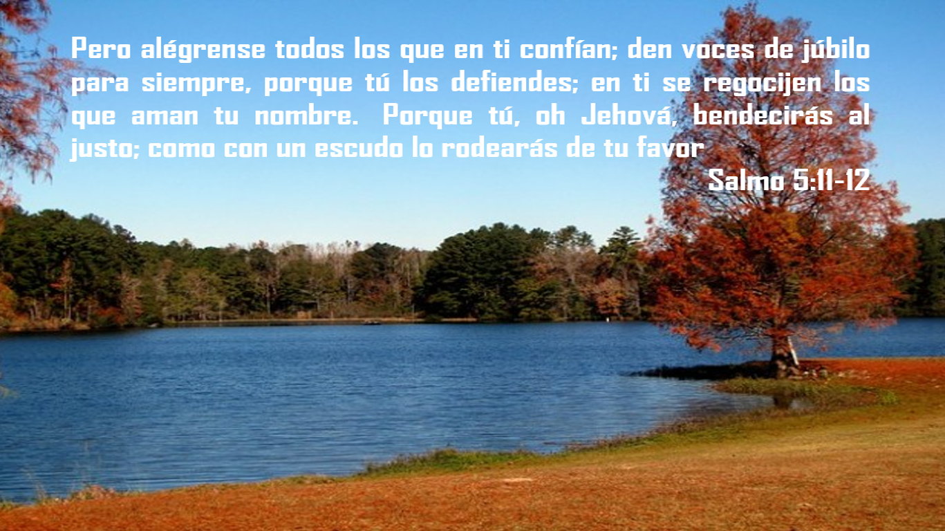 Palabra de Dios: El Señor nos defiende