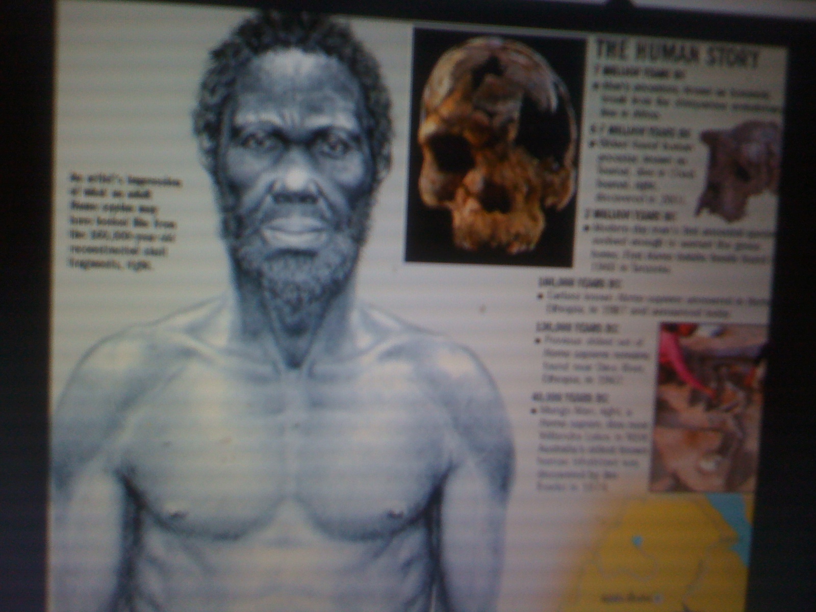 THE BLACK SOCIAL HISTORY:: BLACK SOCIAL HISTORY : BLACK PEOPLE IN ...