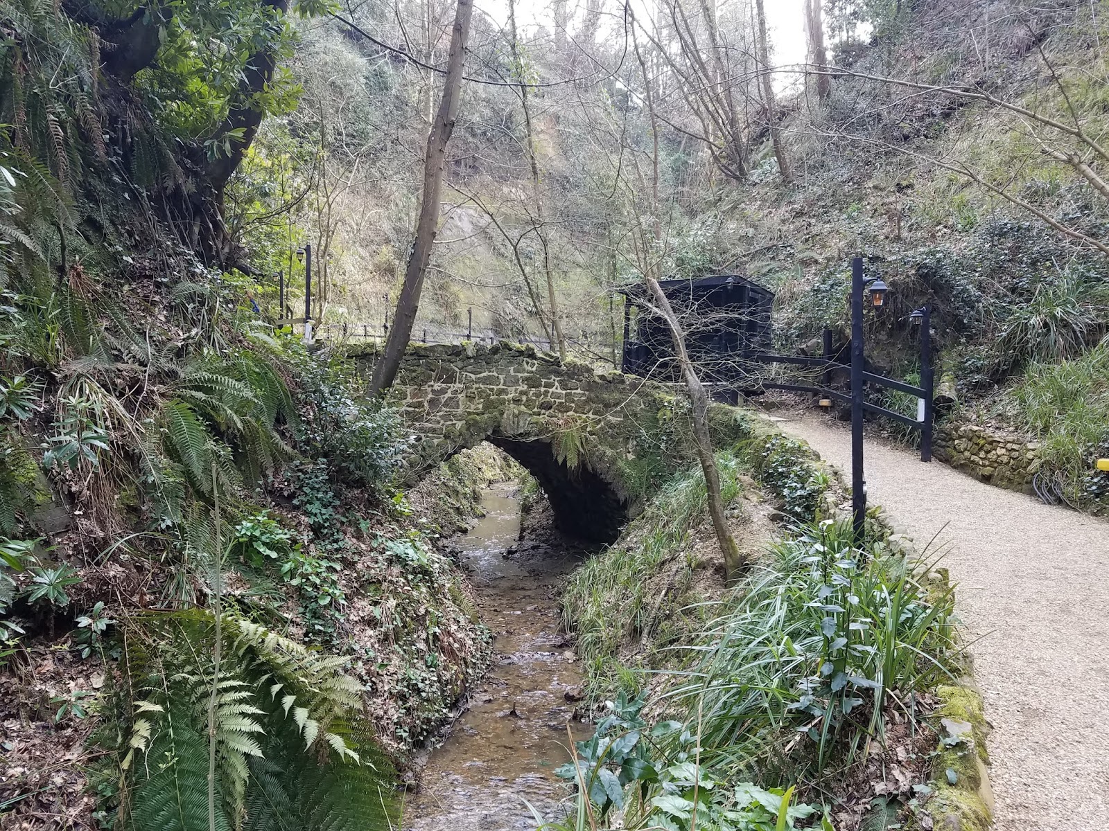 Milly Jane Maven: Shanklin Chine, Isle of Wight