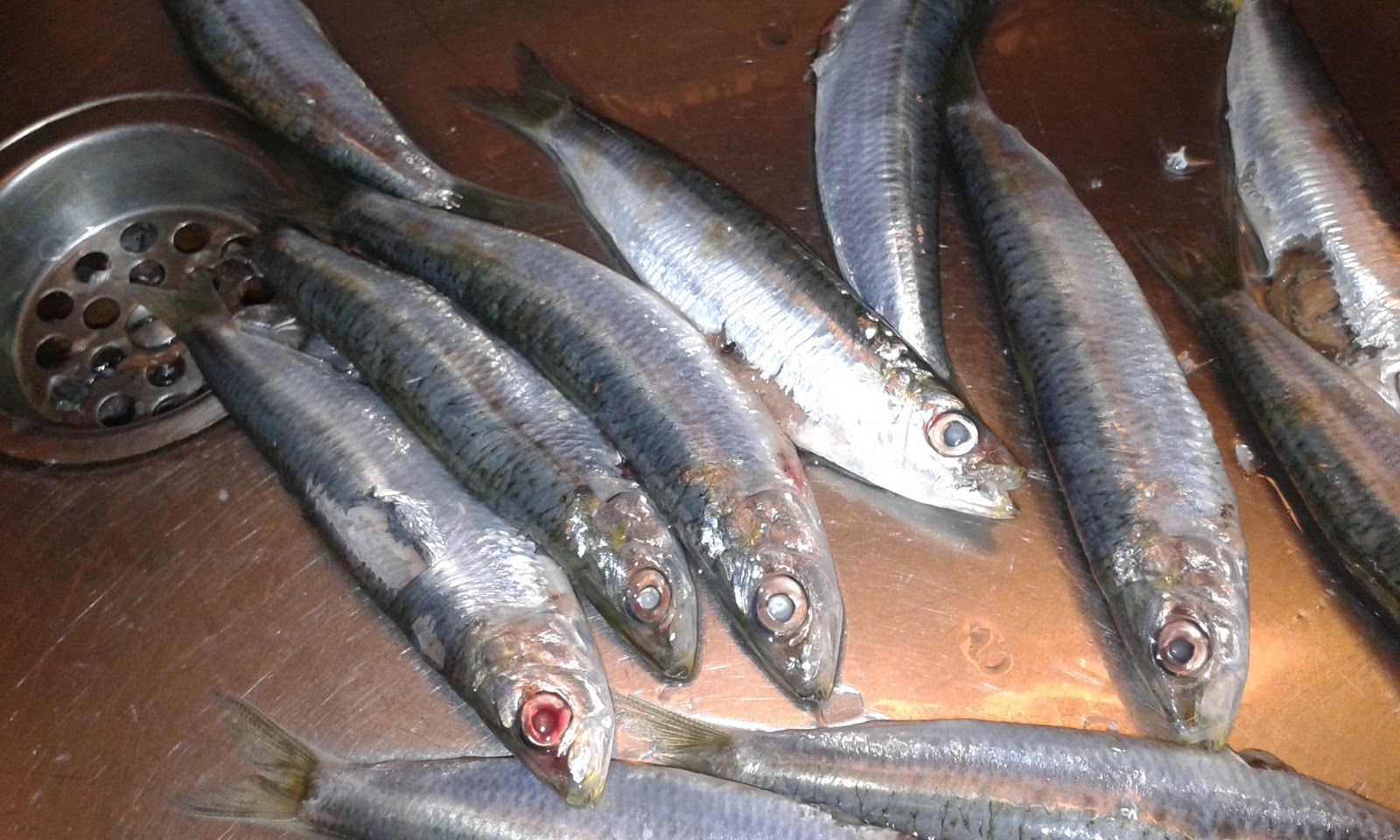 La cuisine de Mamylène: ANCHOIS AU SEL puis, à L'HUILE