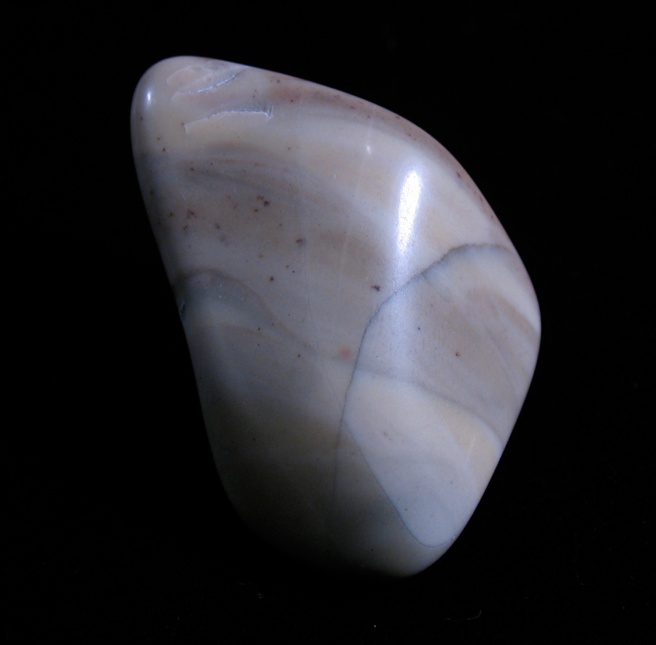 Louisville Fossils and Beyond: Archean Polished Butterstone