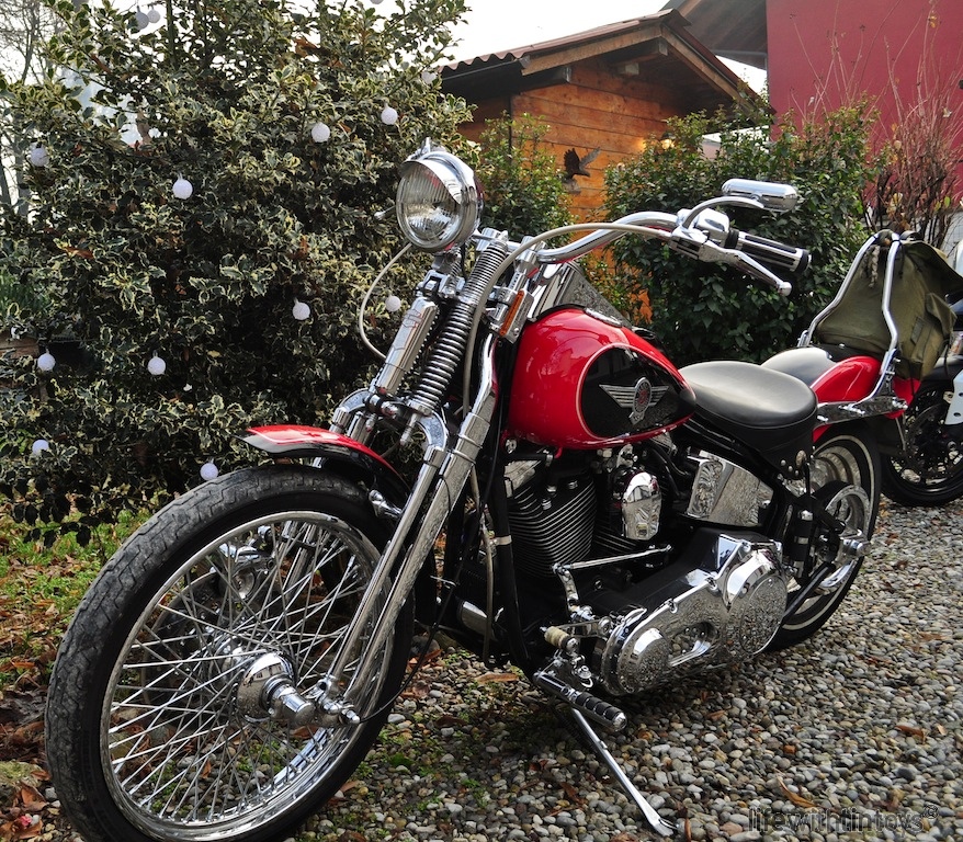 LWTT©: 1340 Softail Springer '91