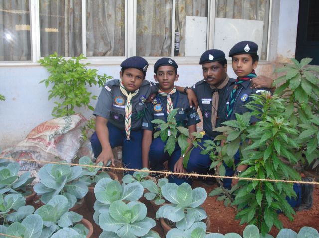 Farook Scouts
