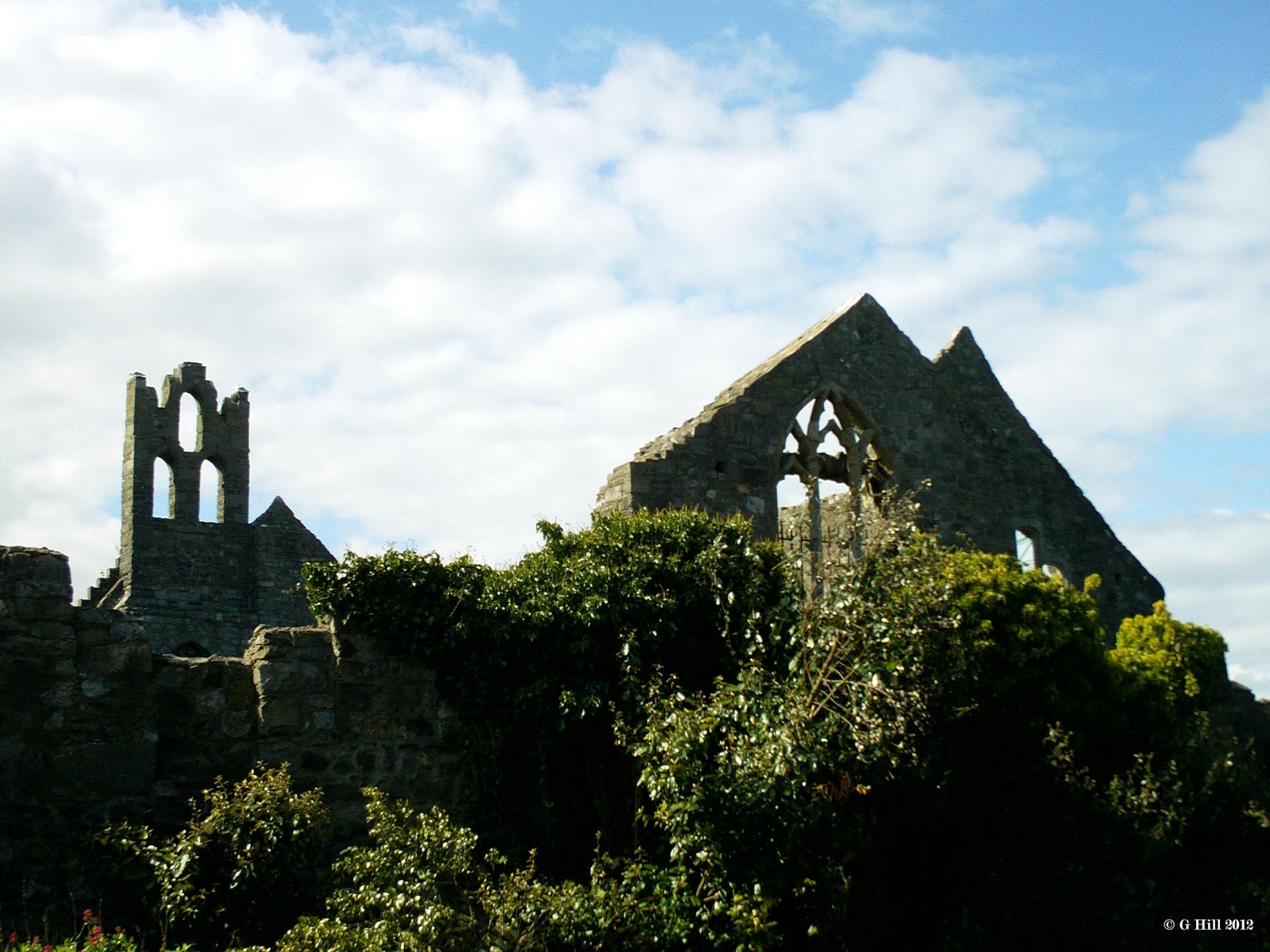 Ireland In Ruins: St. Mary's Abbey Co Dublin