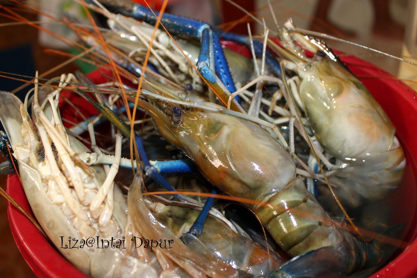 INTAI DAPUR: Udang Galah Sabah Masak Sambal Hutan...