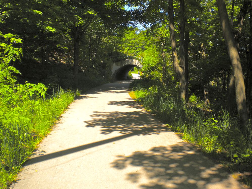 Green Persuasion: Hamilton's Green Space: Chedoke Radial Trail