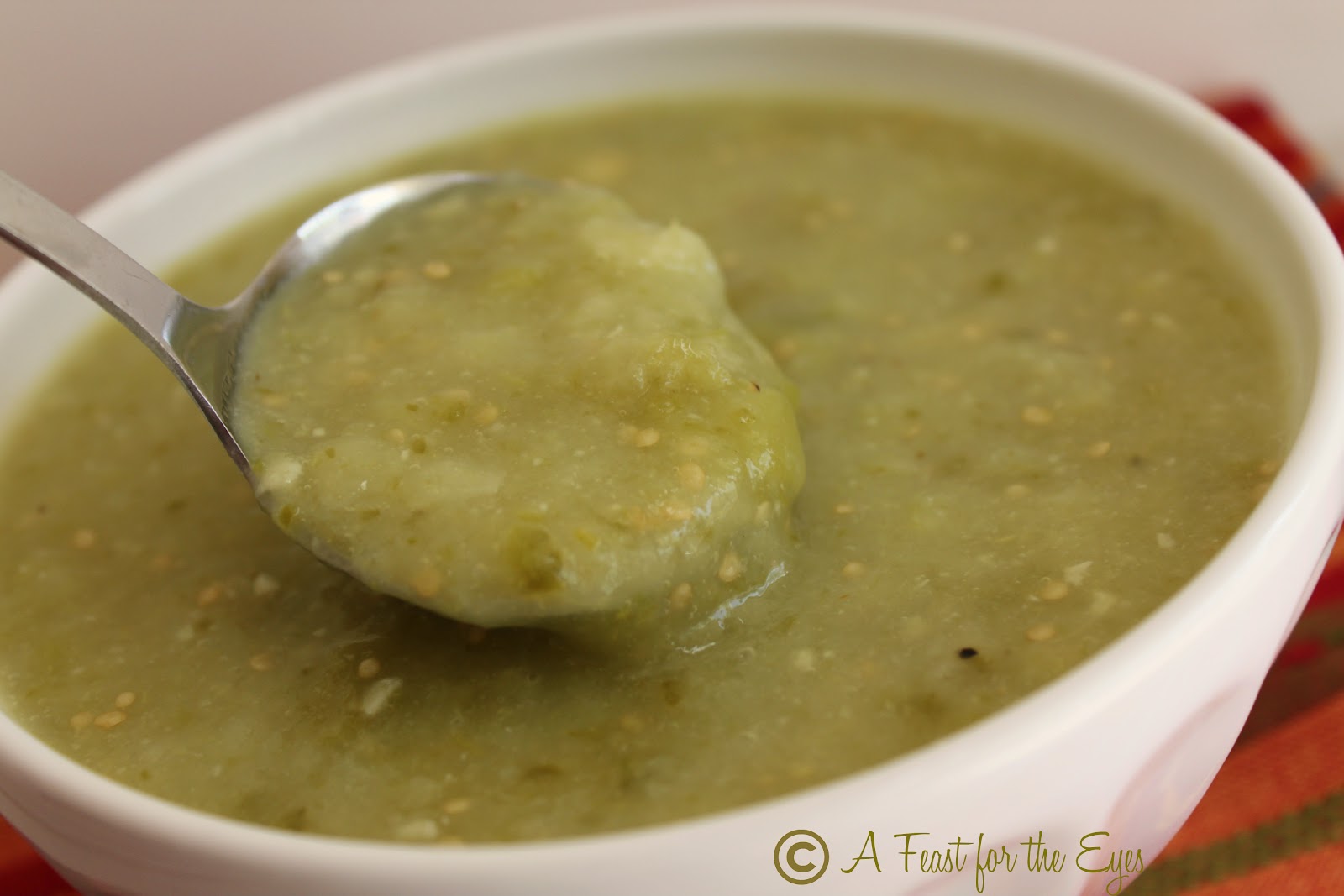 Easy Homemade Tomatillo Salsa Verde (Green Salsa) - A Feast For The Eyes