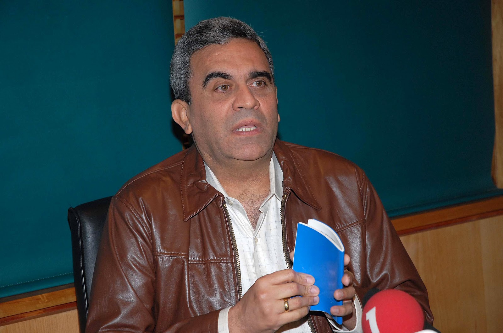 LAS MERCEDES DEL LLANO: ENTREVISTAS AL GENERAL BADUEL