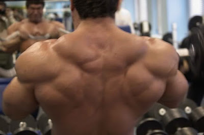 Russian muscle pharao Ramses Tlyakodugov | World Wide BodyBuilders