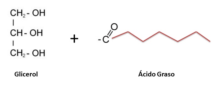 Aceites y Grasas Comestibles: noviembre 2014