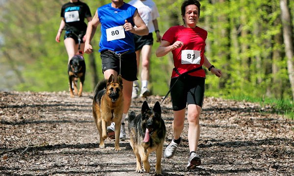 Cardio Trek - Toronto Personal Trainer: Dog Jogging for Beginners