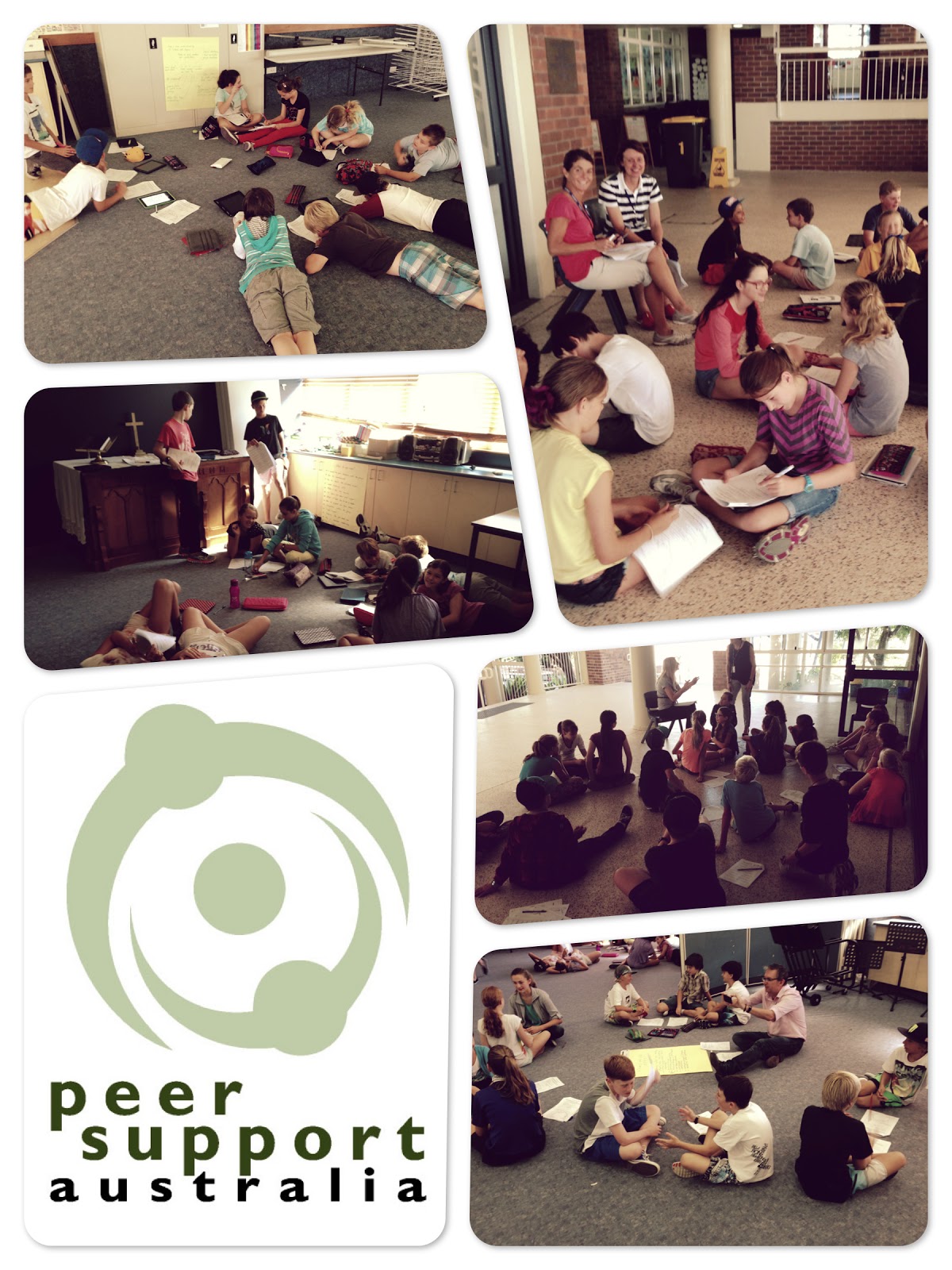 6A 2013: Peer Support Training Day