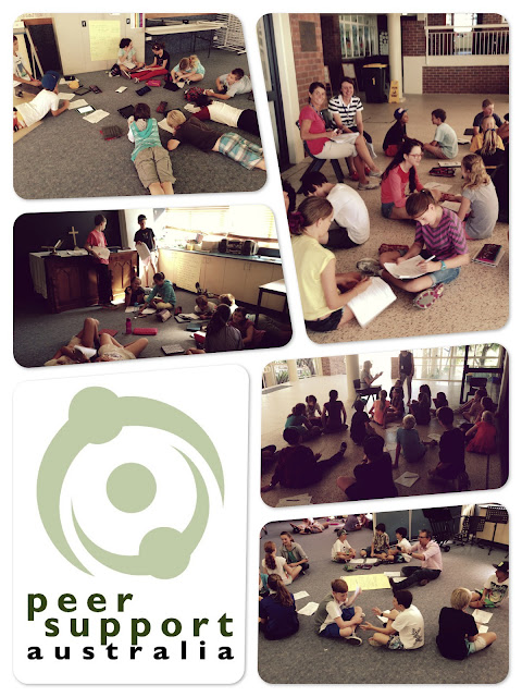 6A 2013: Peer Support Training Day