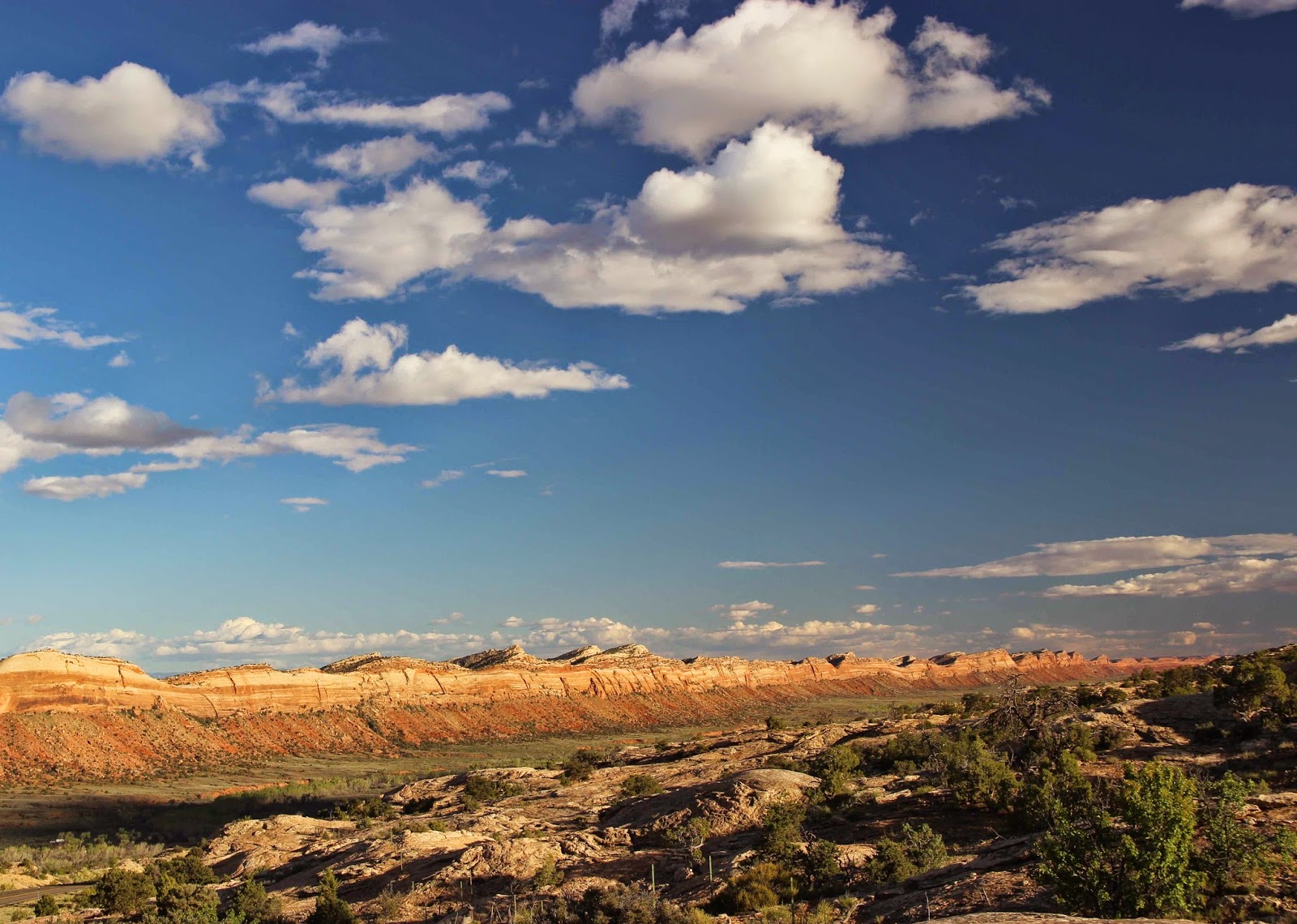 In the Company of Plants and Rocks: Geo-challenge: ______ ______ from