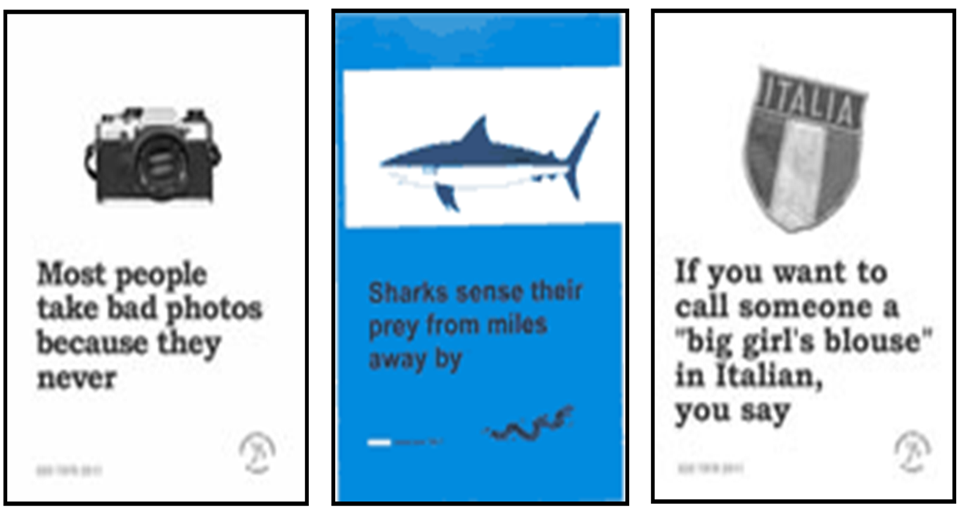 My Learning Journey: Developing Curiosity - The 'Curiosity Campaign'