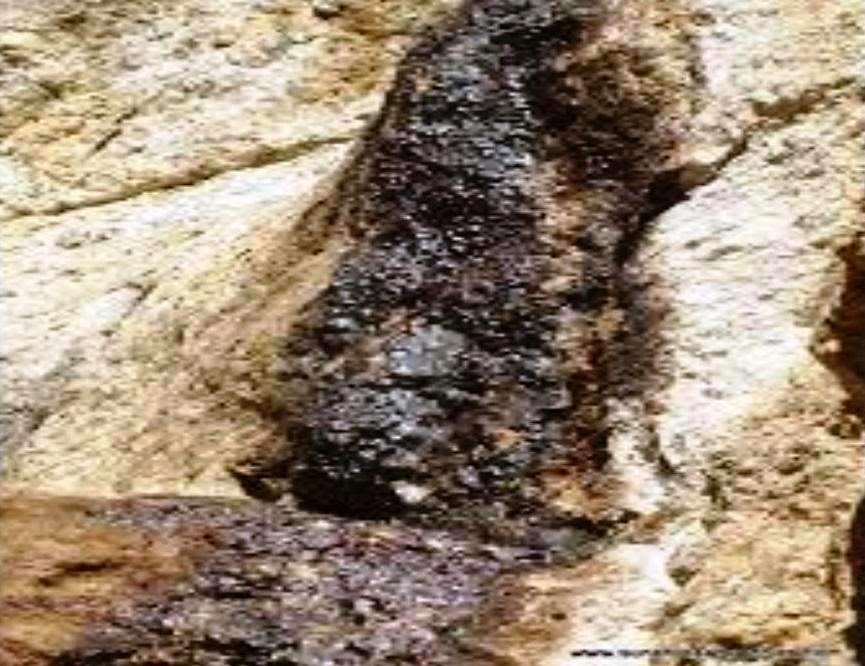 Karakorum Himalayan Salajeet/Shilajit Gilgit Baltistan: Original salajeet