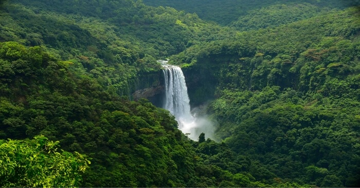 10+ Best Waterfalls in Goa That You Must Visit Once - Home