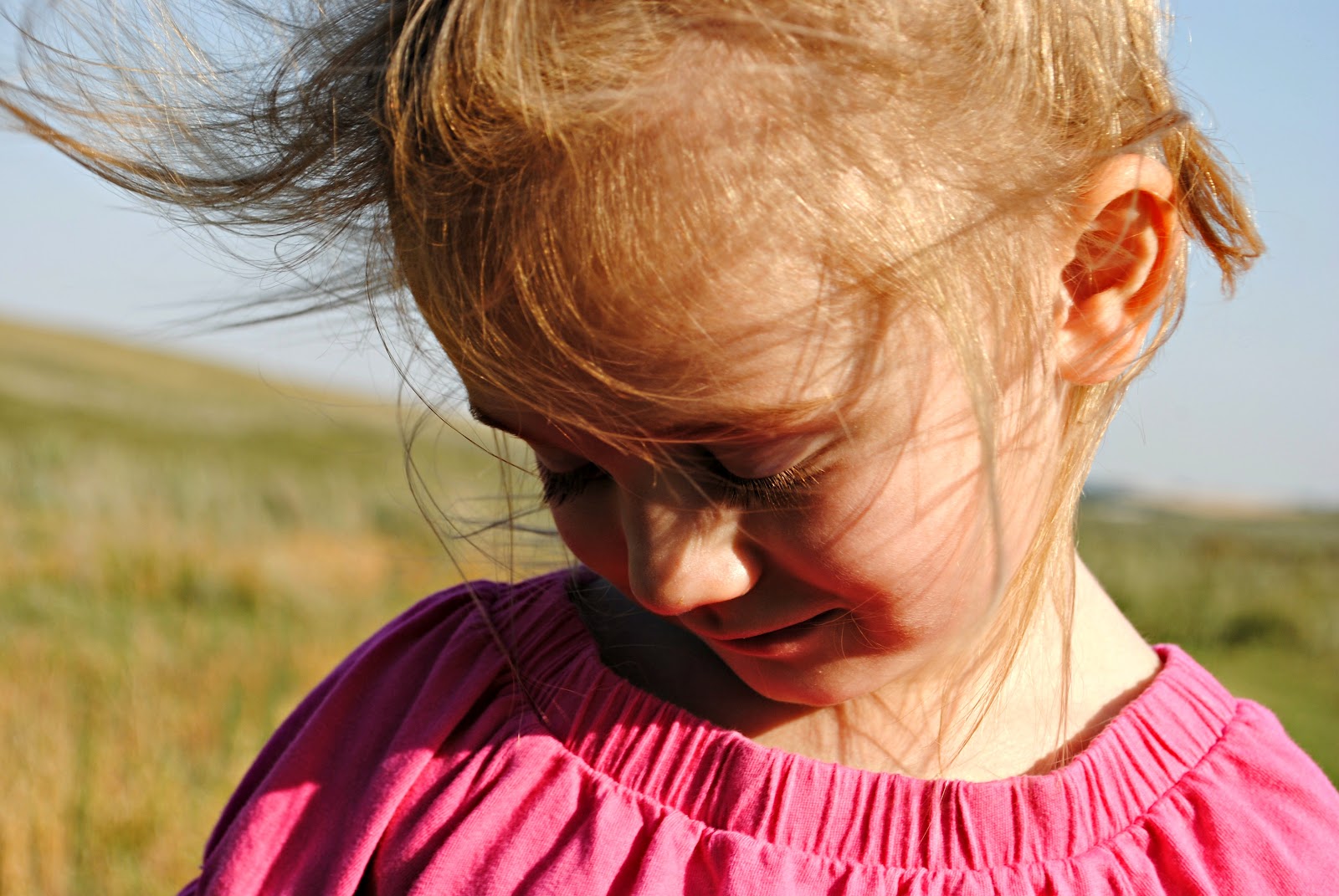 Little Prairie Baby: Alberta Wind